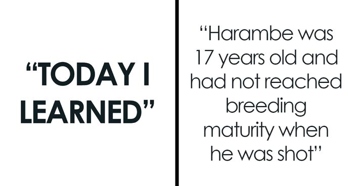 35 “Today I Learned” Facts To Keep Your Brain Curious (New Posts ...