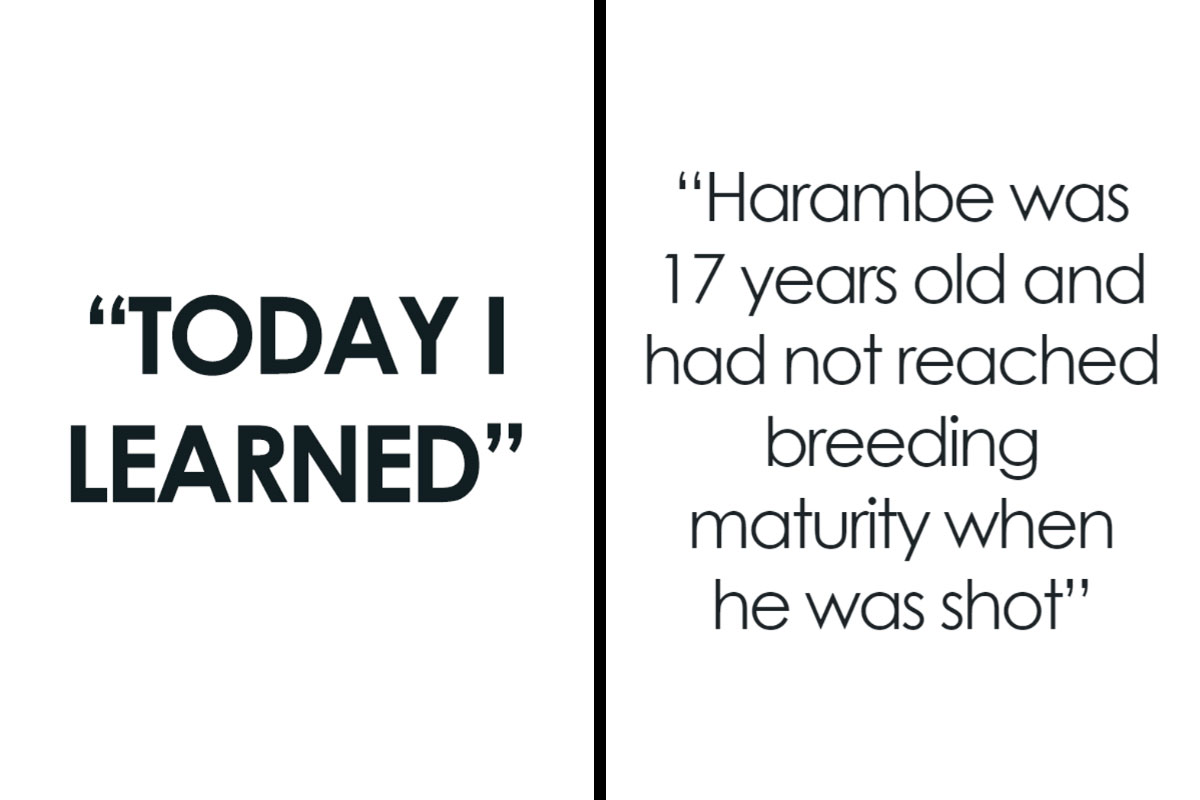 35 “Today I Learned” Facts To Keep Your Brain Curious (New Posts ...