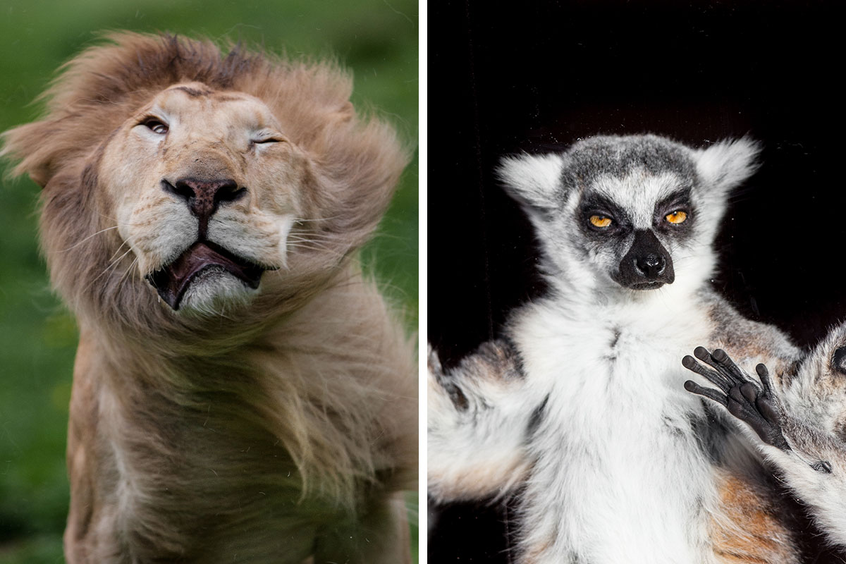 30 Unforgettable Animal Moments Captured Through My Lens | Bored Panda