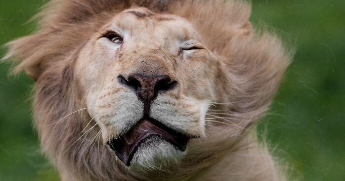 30 Unforgettable Animal Moments Captured Through My Lens | Bored Panda