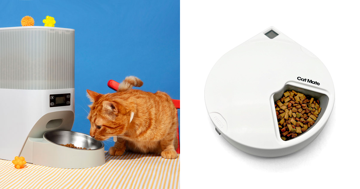 Best Automatic Cat Feeder In 2024, According to Buyers | Bored Panda