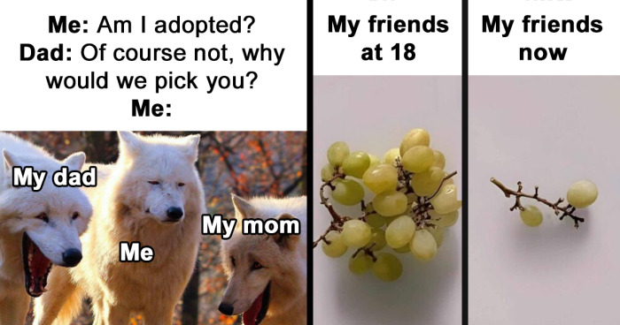 The ‘Sarcasm’ Facebook Page Shares Hilarious Memes, And Here Are 40 Of ...