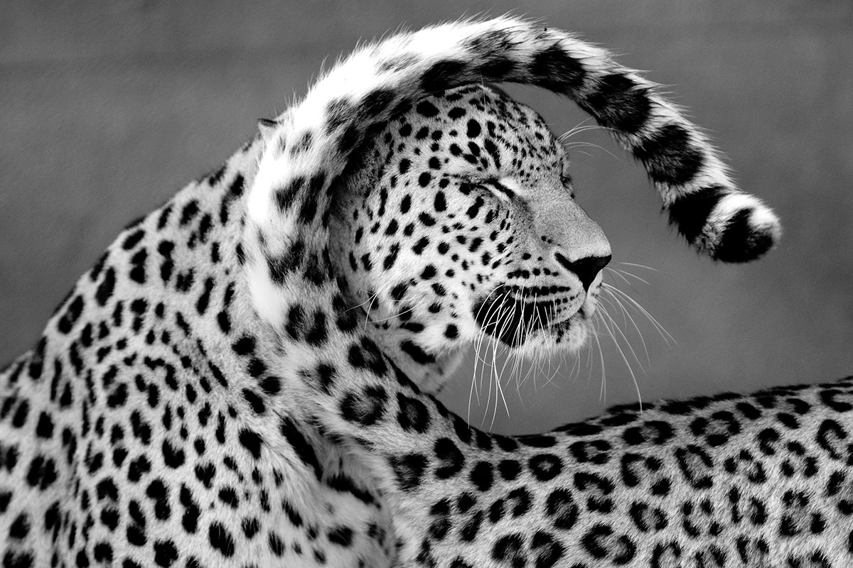 My Favorite Black-And-White Photos I’ve Taken In The Last 18 Years (23 Pics) | Bored Panda