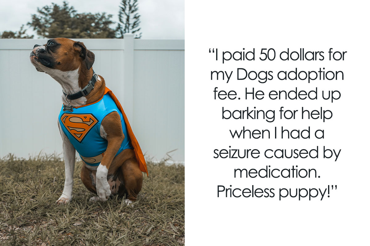 35 Times People Bought Ridiculously Cheap Things That Turned Out To Be ...