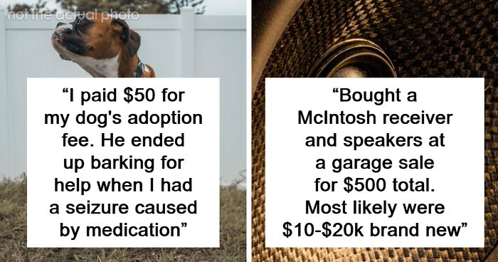 35 Times People Bought Ridiculously Cheap Things That Turned Out To Be ...