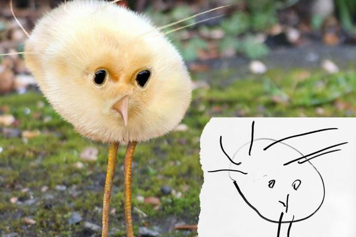 If Kids’ Drawings Were Real (31 Pics) | Bored Panda