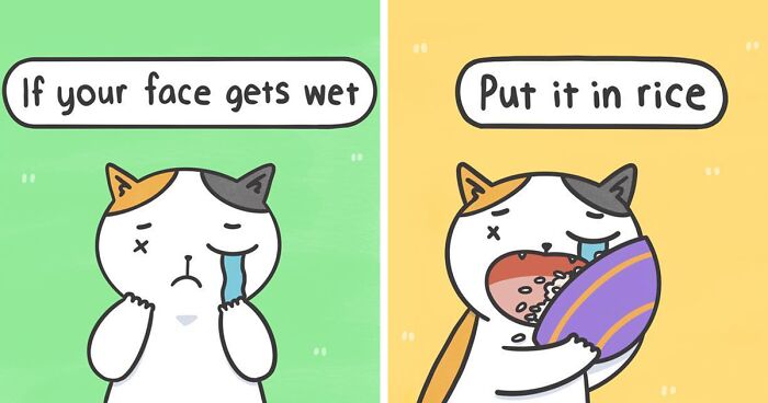 “Cat & Cat”: 25 Funny And Wholesome Comics About The Secret Life Of ...