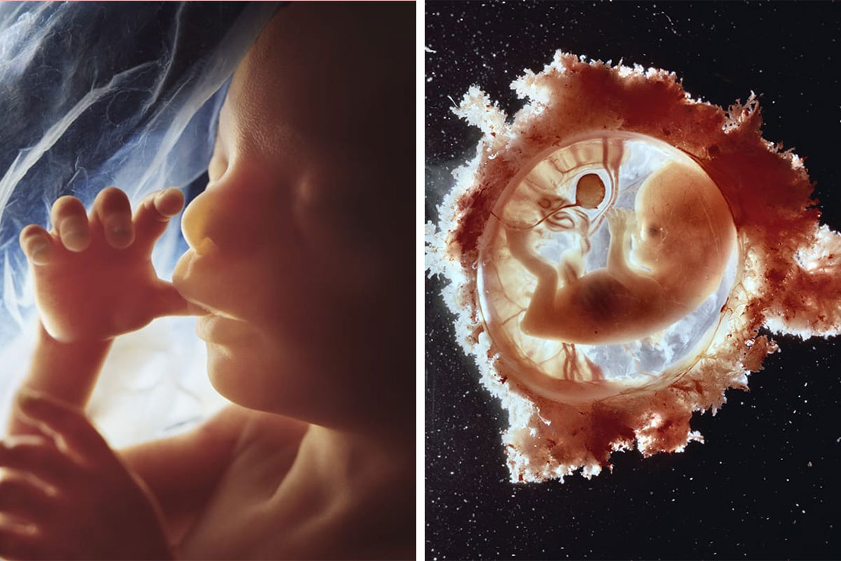 19 Groundbreaking Images By This Photographer Offering A Glimpse Into ...