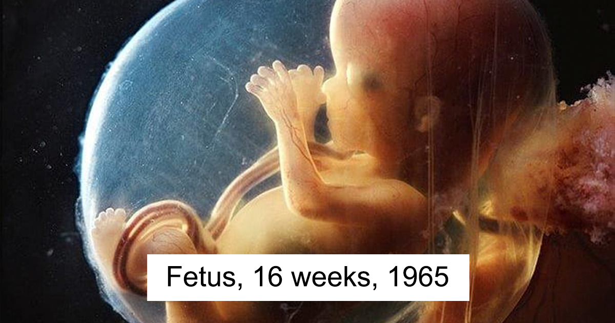 19 Groundbreaking Images By This Photographer Offering A Glimpse Into ...