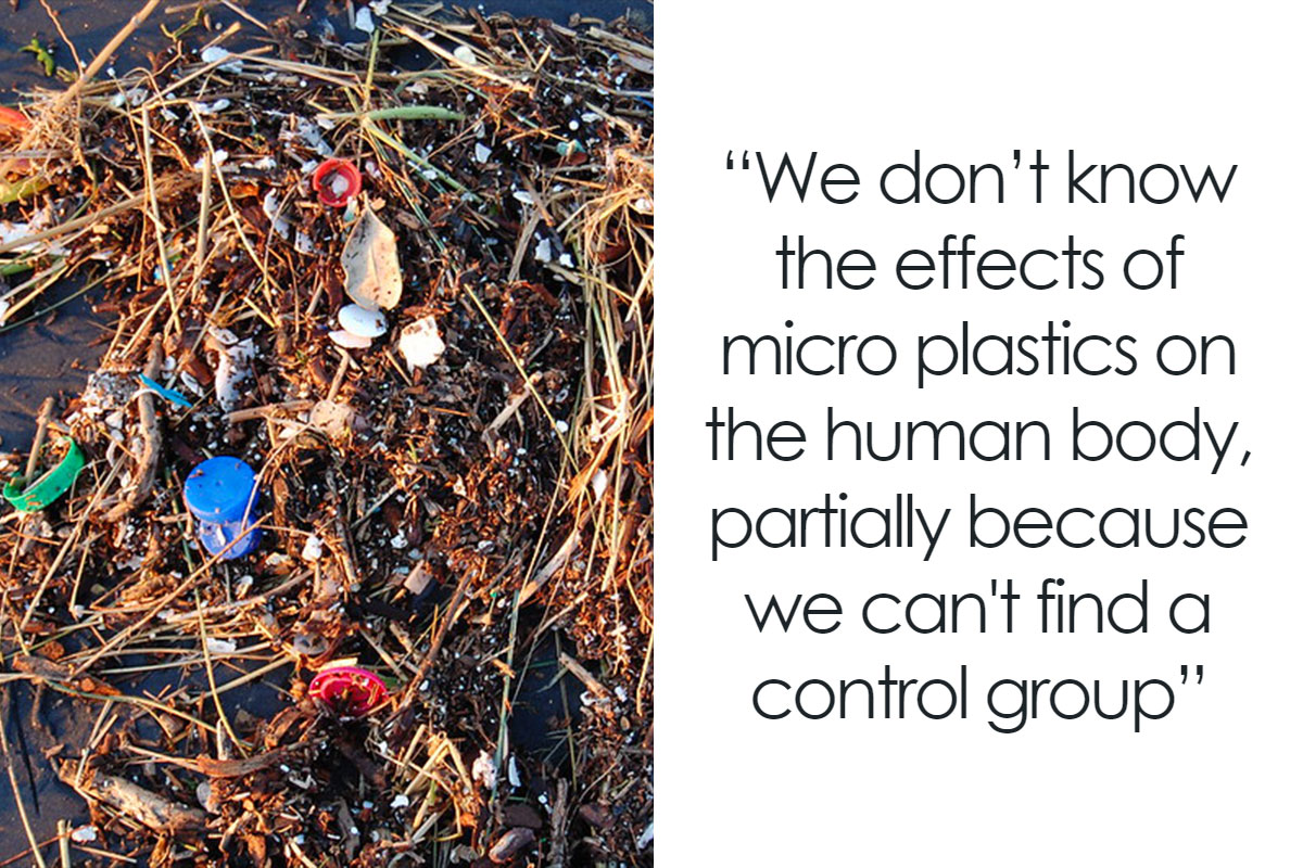 40 Disturbing Facts People Wish They Didn’t Know | Bored Panda