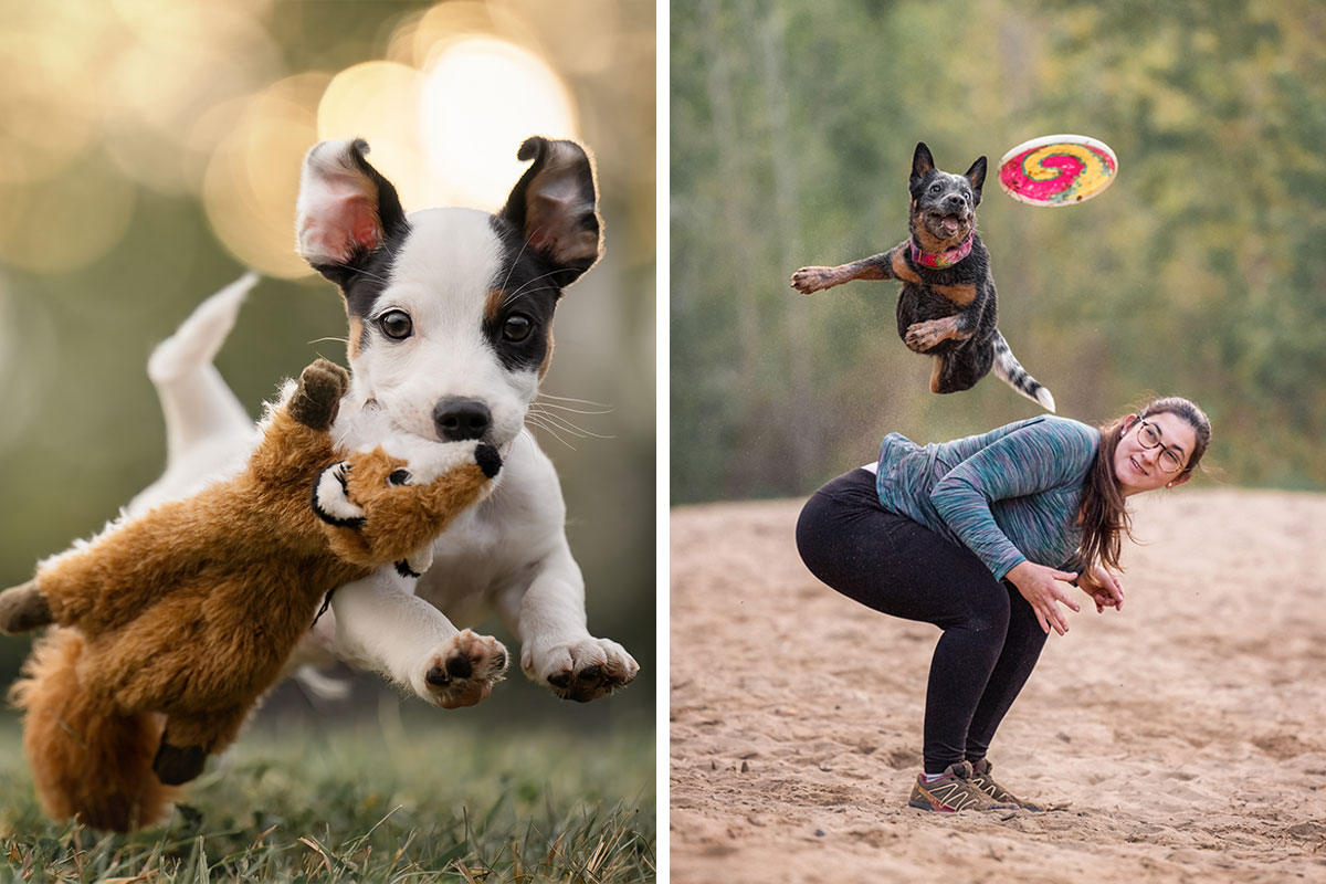 I Captured Dogs On The Run, And The Results Are The Most Adorable Faces ...