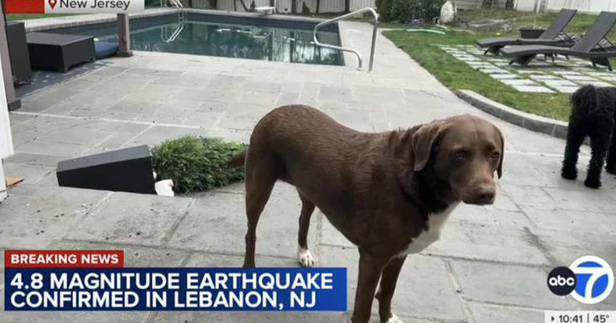 People Created “We Will Rebuild” Trend For East Coast Earthquake And It ...