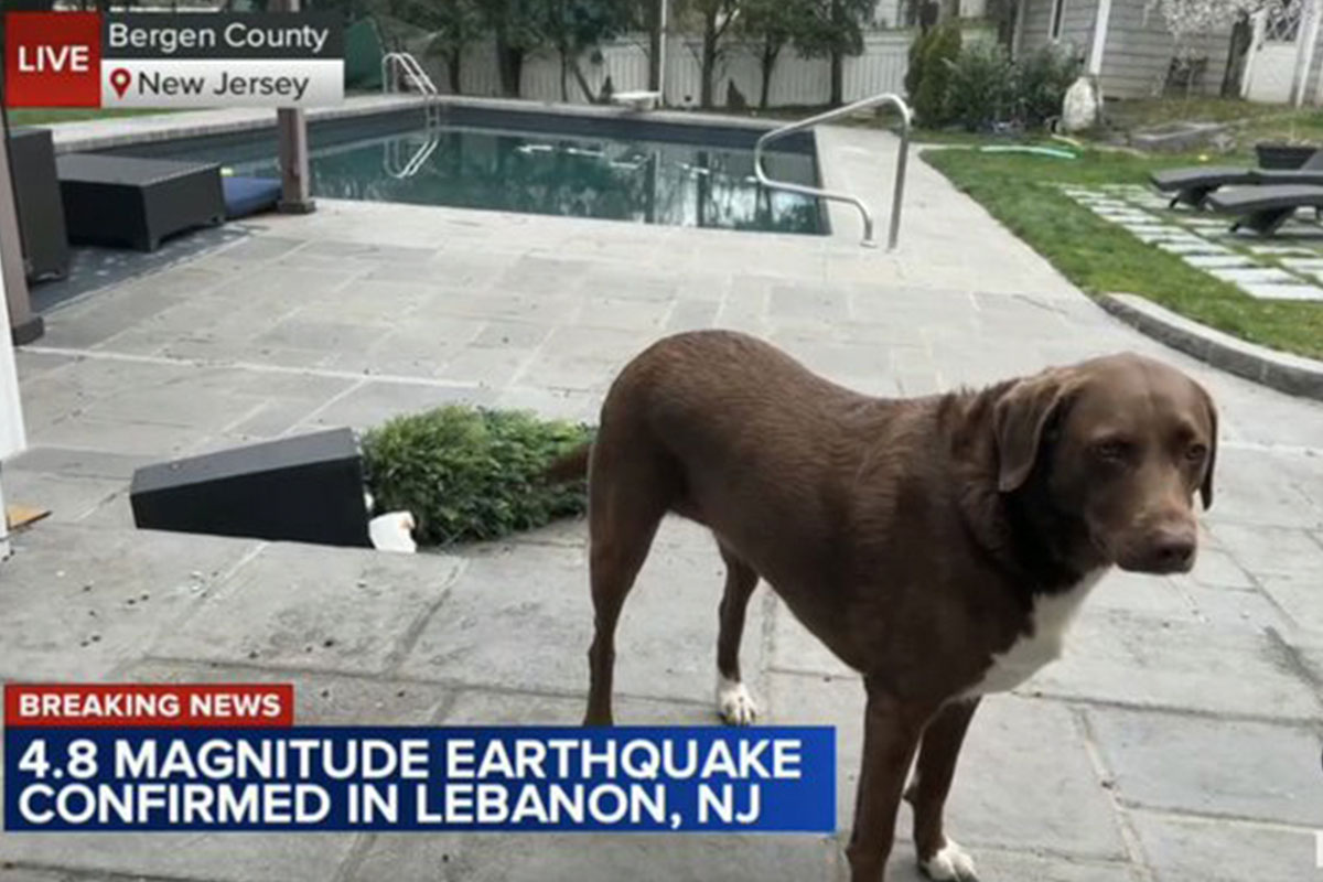 People Created “We Will Rebuild” Trend For East Coast Earthquake And It ...