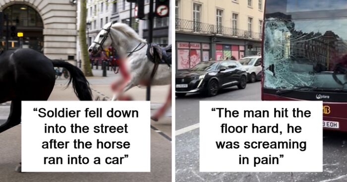 Four People Rushed To The Hospital After Blood-Covered Horses Cause ...