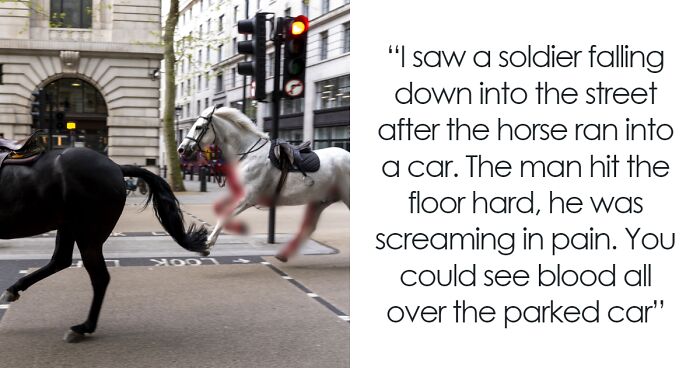 Four People Rushed To The Hospital After Blood-Covered Horses Cause ...