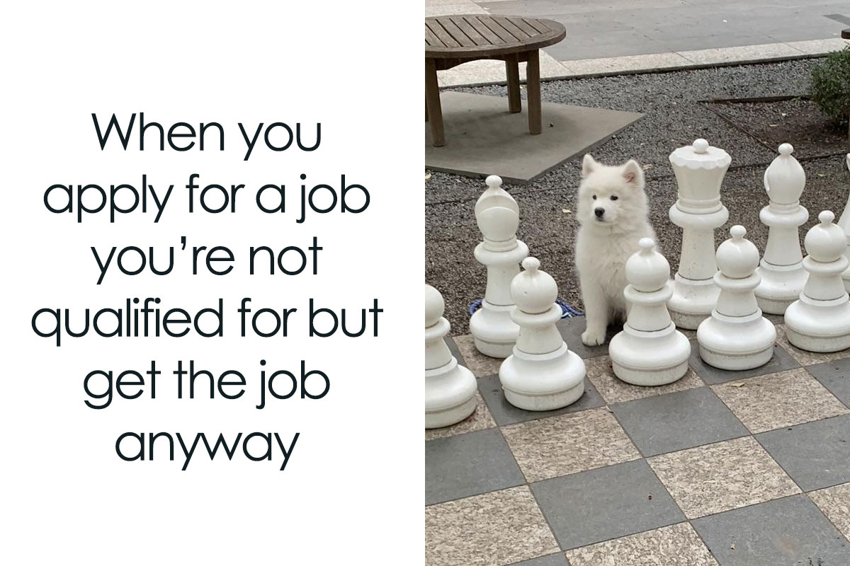 50 Hilariously Wholesome Dog Memes To Brighten Up Your Day | Bored Panda