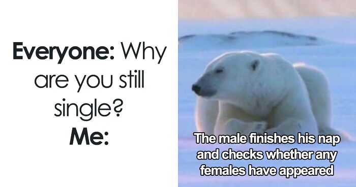 30 Of The Best Gym Memes As Seen On This Dedicated Facebook Meme Page