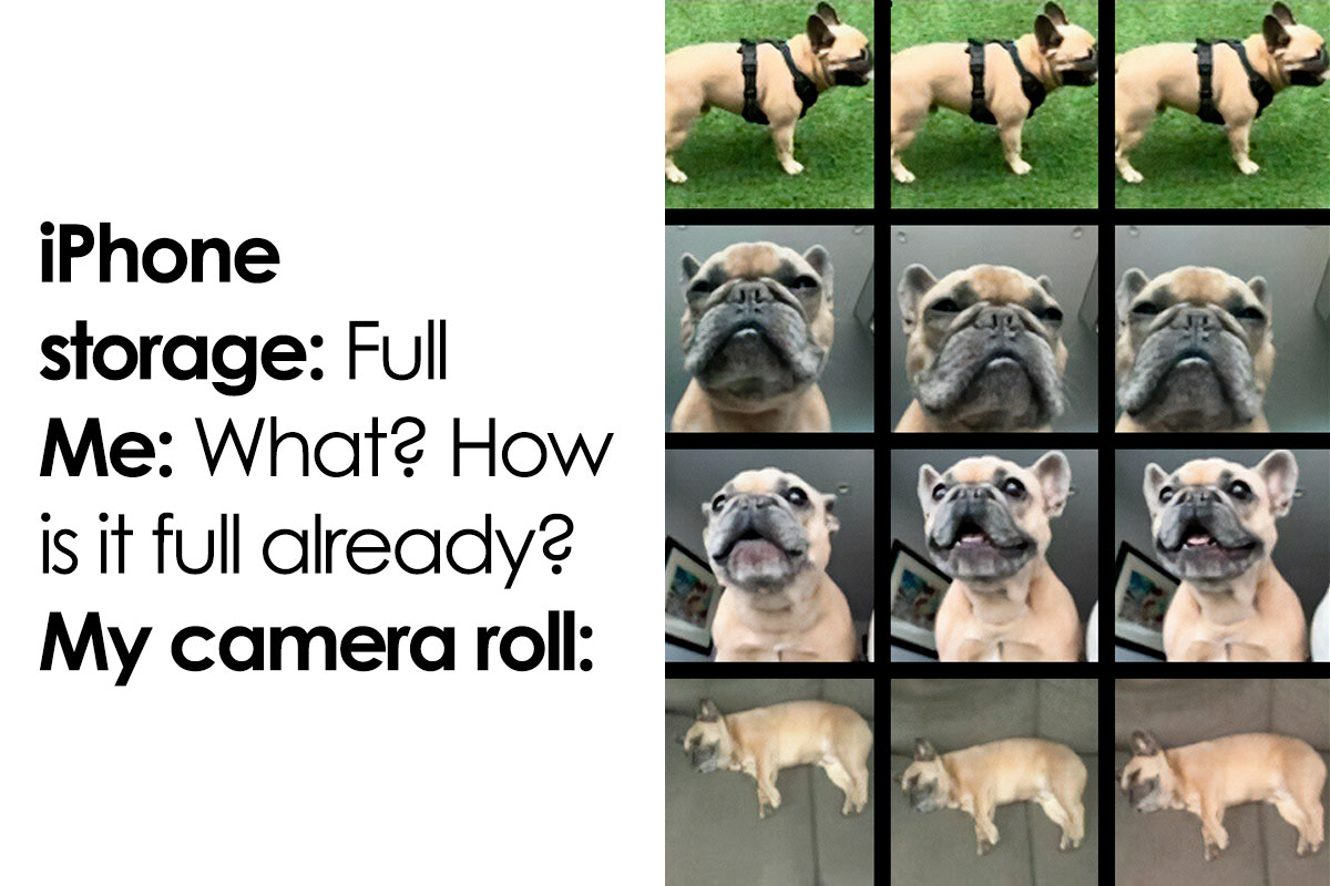 50 Random Memes To Entertain You While You Procrastinate | Bored Panda