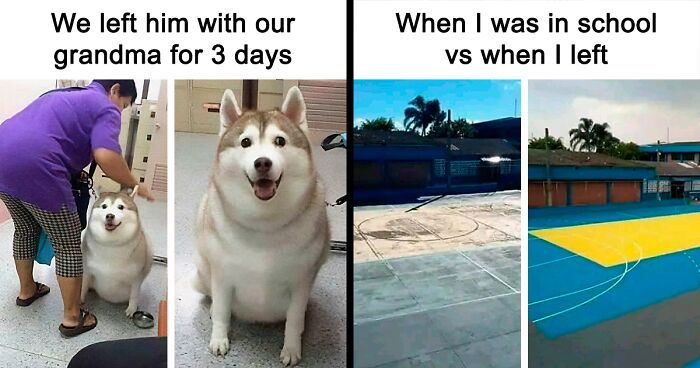 50 Random Memes To Entertain You While You Procrastinate