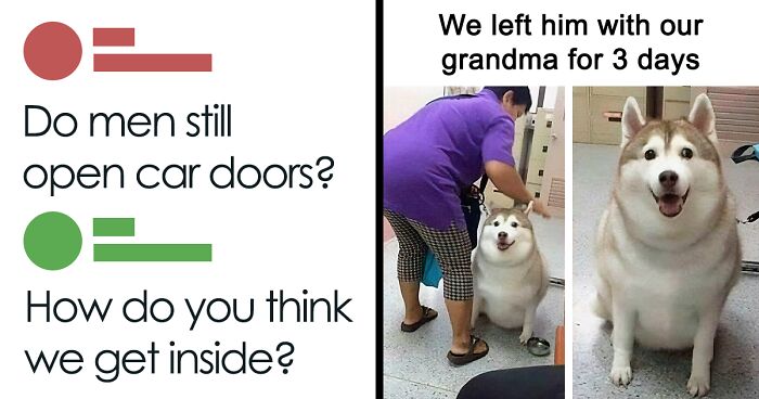 50 Random Memes To Entertain You While You Procrastinate