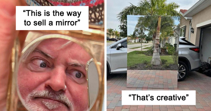 50 Times People Tried To Sell A Mirror, But It Was Really The ...