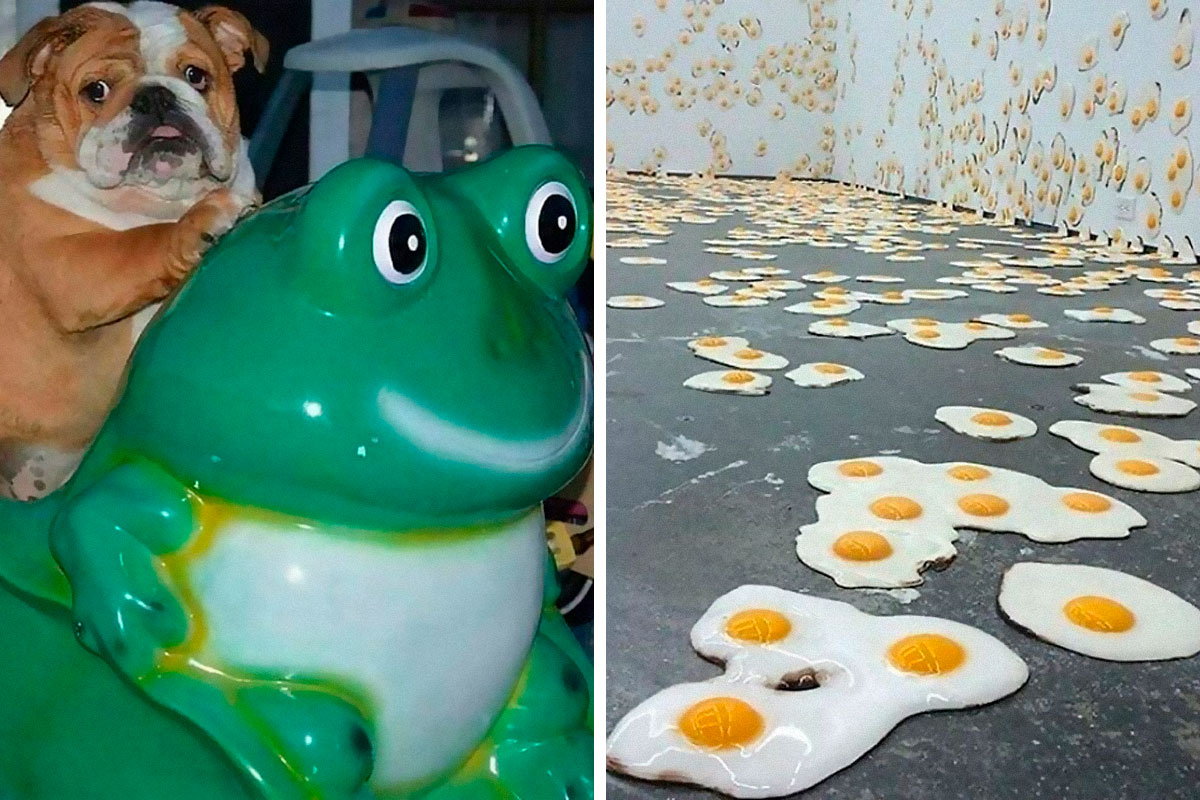 30 Posts That Hold A Lot Of Random Chaos Within, As Seen On This IG ...