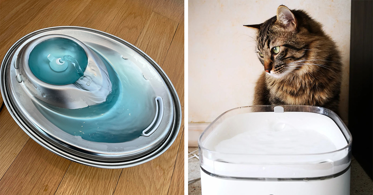 How to Clean a Cat Water Fountain: All Steps Covered | Bored Panda