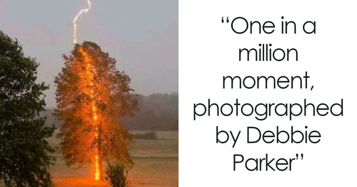 50 Hard-To-Believe Images And Facts That Are Outright Amazing (New Pics)