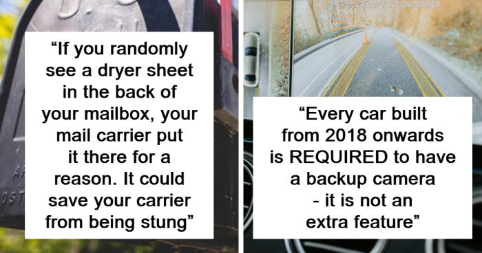 30 “You Should Know” Facts That Prove It’s Never Too Late To Learn ...