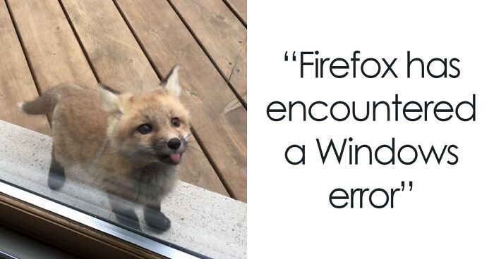 50 Mildly Interesting Things People Saw Through A Window And Just Had ...