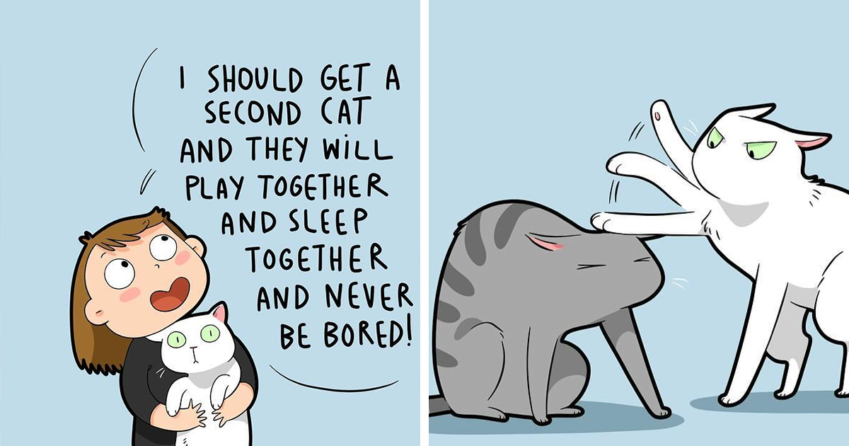 Artist Creates Funny Comics Capturing The Essence Of Living With A Cat ...
