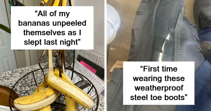 50 Mildly Infuriating Situations That Are Oh-So Relatable (New Pics ...