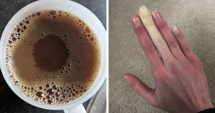 30 ‘Mildly Interesting’ Things That May Surprise You (New Pics) | Bored ...