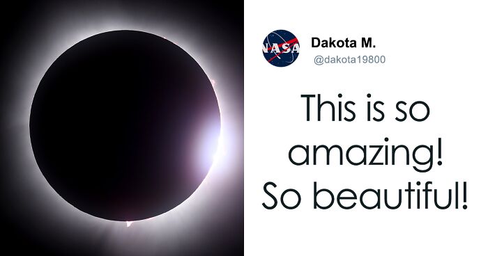 The Eclipse Produced Some Incredible Photography—These Are The Best ...