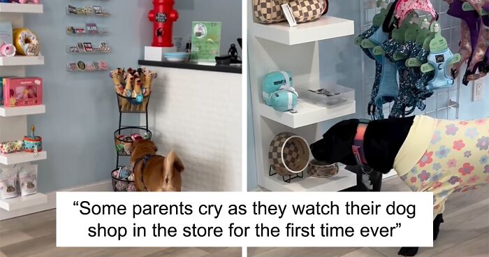 Misunderstood Doggies Can Finally Shop In Peace At This Pet Store ...
