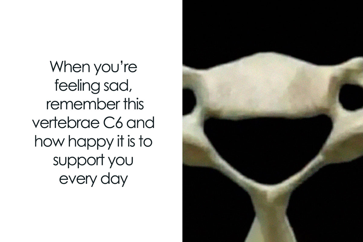 ‘Science Is Fun’: 50 Funny And Smart Memes For Science Lovers ...