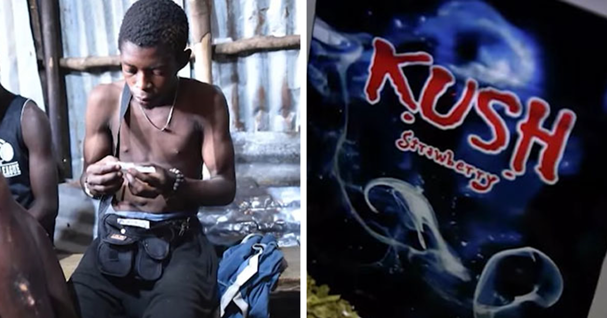 “Zombie Psychoactive” Users Begin Digging Up Graves For Ingredients ...