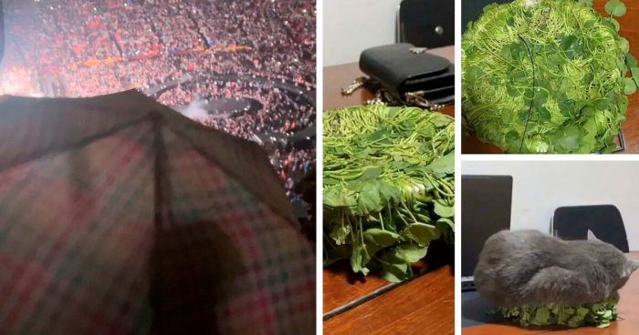 These People Experienced The Worst Luck Imaginable And Had No Choice ...