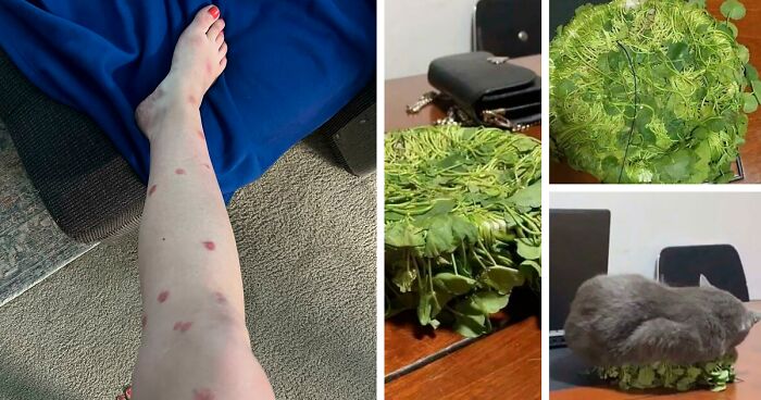 These People Experienced The Worst Luck Imaginable And Had No Choice ...