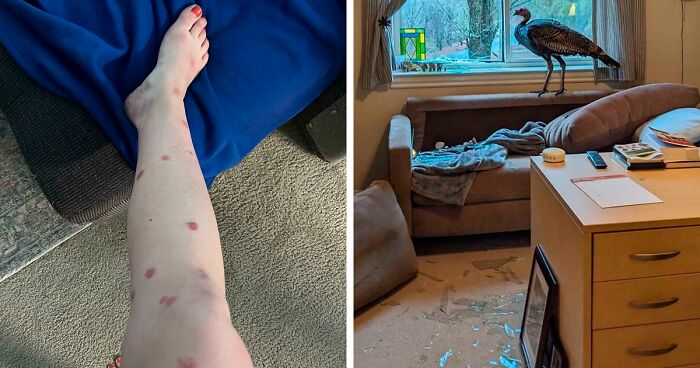 These People Experienced The Worst Luck Imaginable And Had No Choice ...