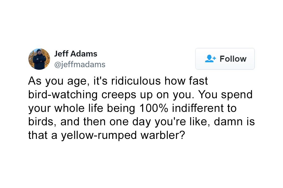 50 Animal And Nature Memes, As Shared By Members Of This Popular ...