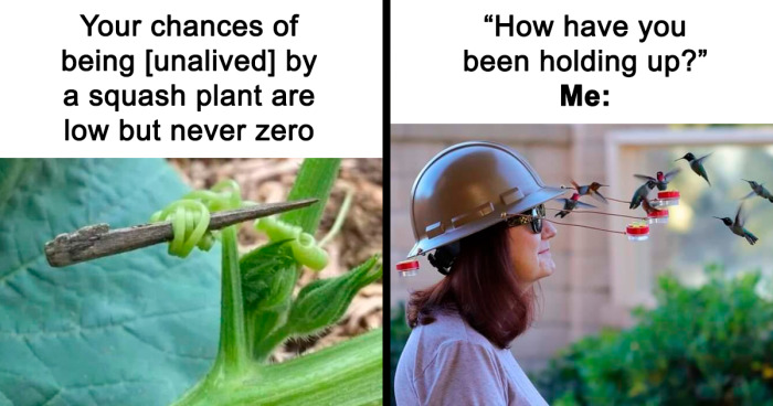 50 Animal And Nature Memes, As Shared By Members Of This Popular ...