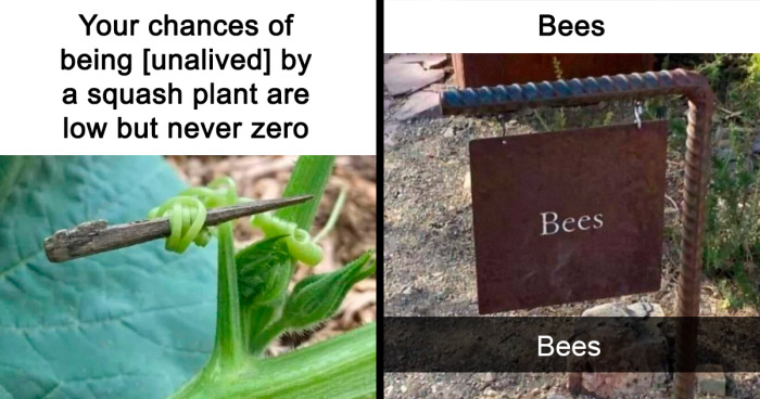 50 Animal And Nature Memes, As Shared By Members Of This Popular ...