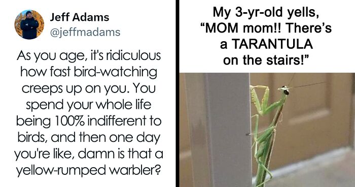 50 Animal And Nature Memes, As Shared By Members Of This Popular ...