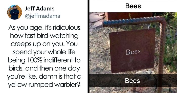 50 Animal And Nature Memes, As Shared By Members Of This Popular ...