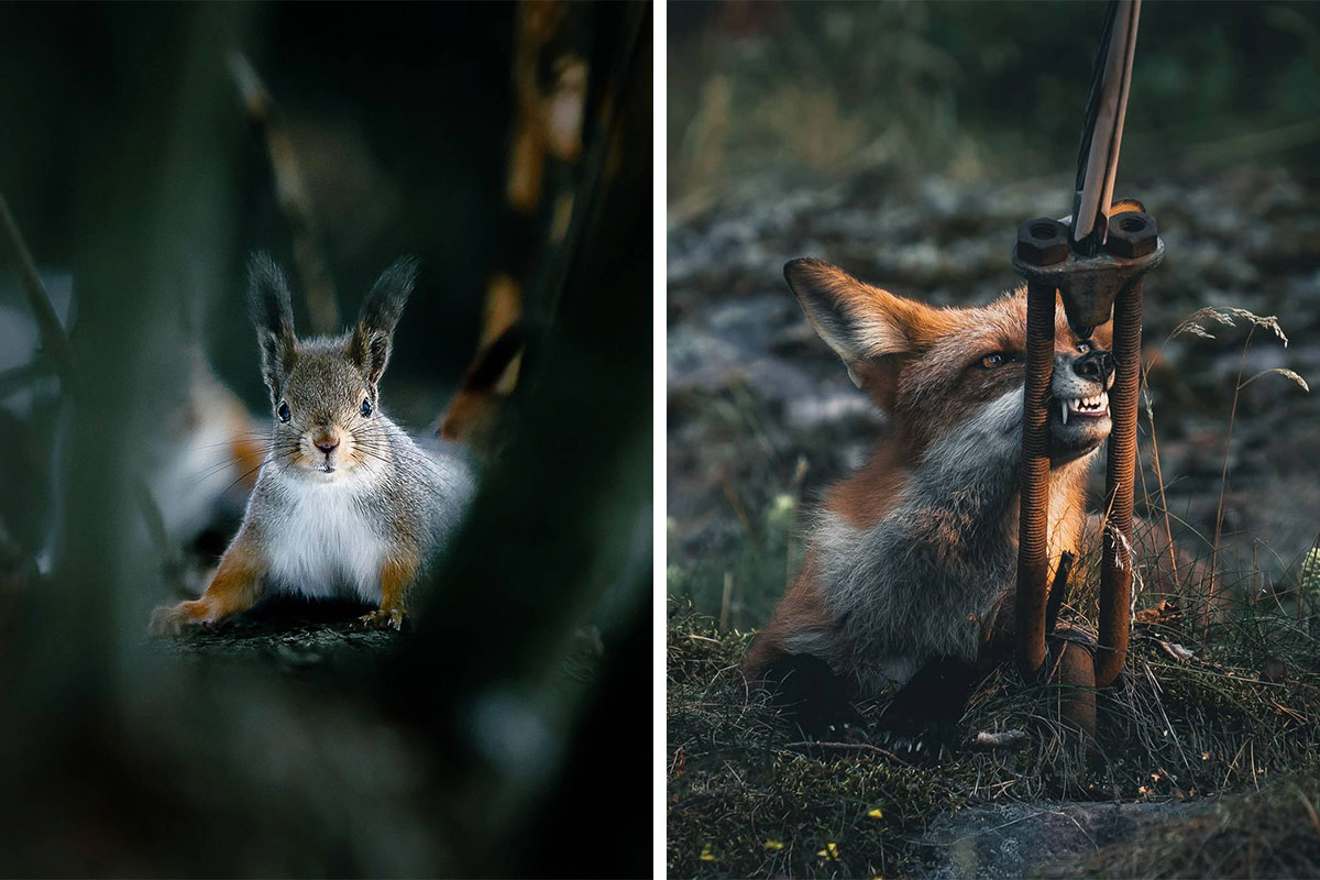 Photographer Captured 30 New Photos That Might Make You Feel Like You ...