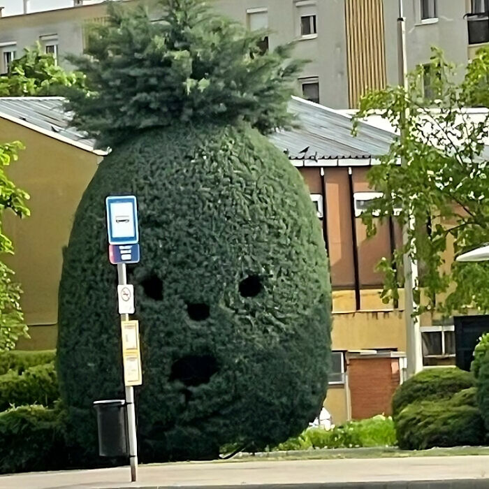 35 Times People Went Out Of Their Way To Make Their Gardens And Yards ...