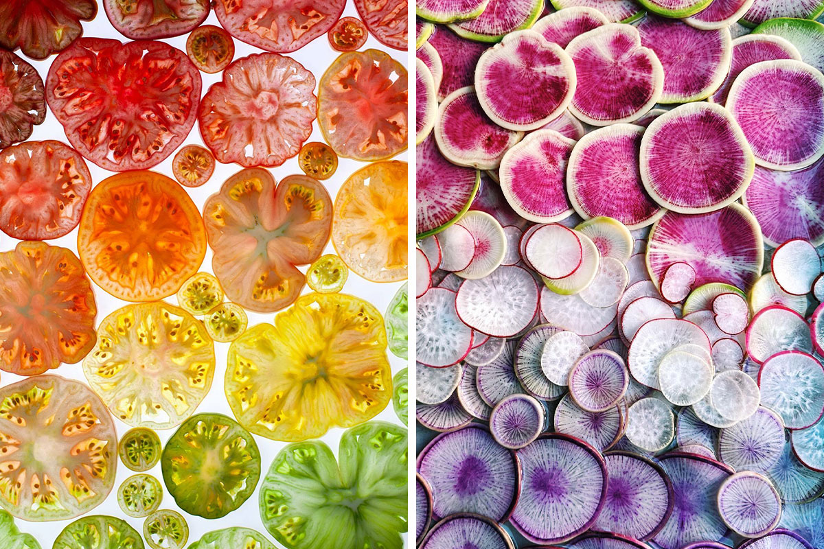 70 Captivating Gradient Photos Of Ordinary Items By Brittany Wright ...