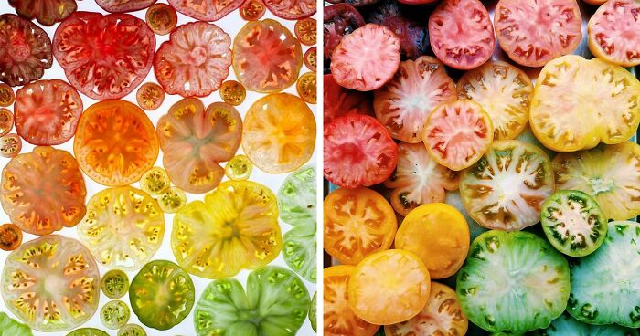 70 Captivating Gradient Photos Of Ordinary Items By Brittany Wright ...