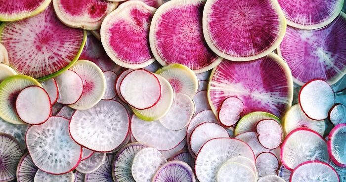 70 Captivating Gradient Photos Of Ordinary Items By Brittany Wright ...